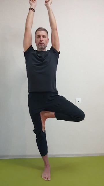 2025-11-28 Врикшасана. Поза дерева.