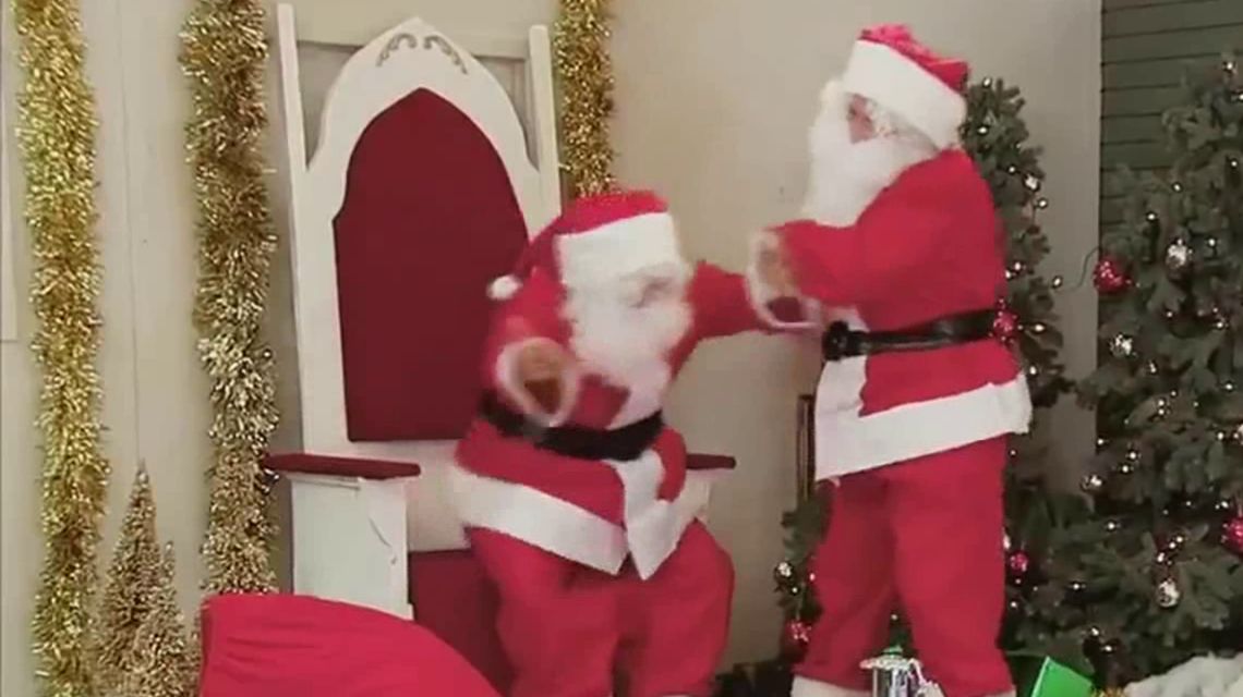 Юмор - "Новогодний конфликт"