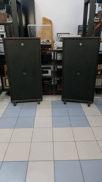 Графеновые изогеодинамические акустические системы