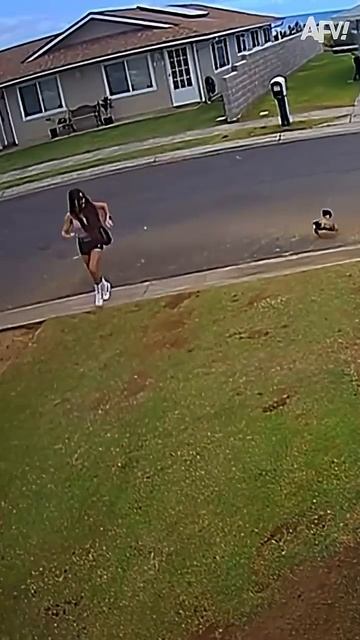 Не лает не кусает, а в дом не пускает