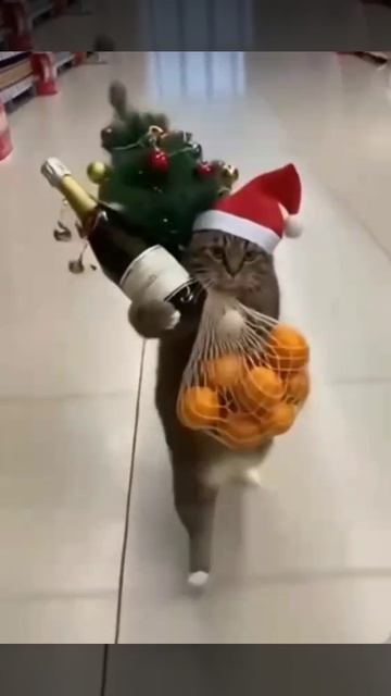 За новогодним настроением😂😂