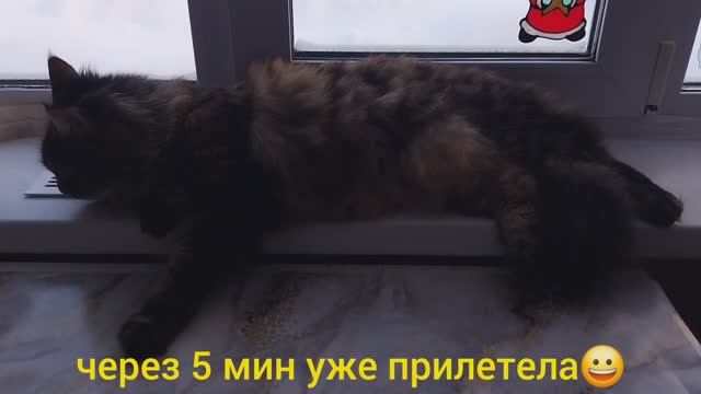 Мороз, берегите нос!😃👋