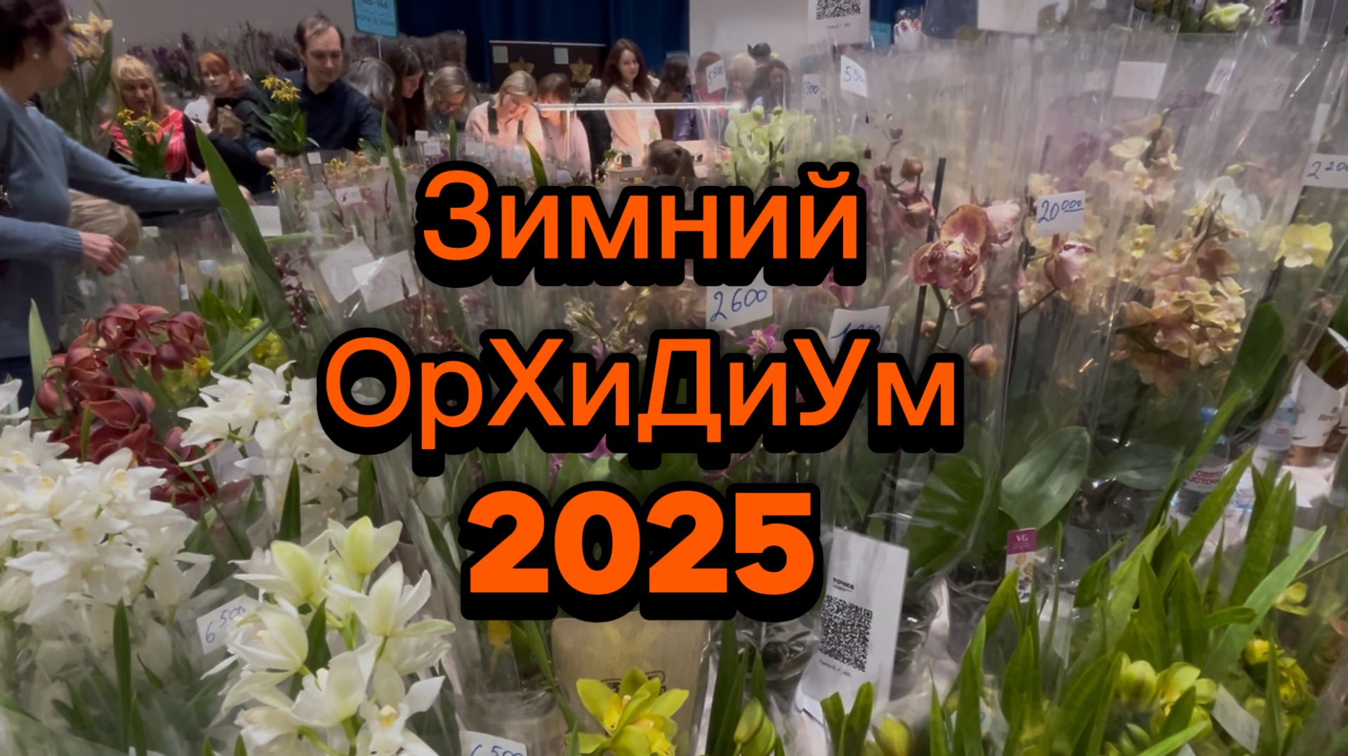 Зимний ОрХиДиУм 2025 ✅ #орхидиум