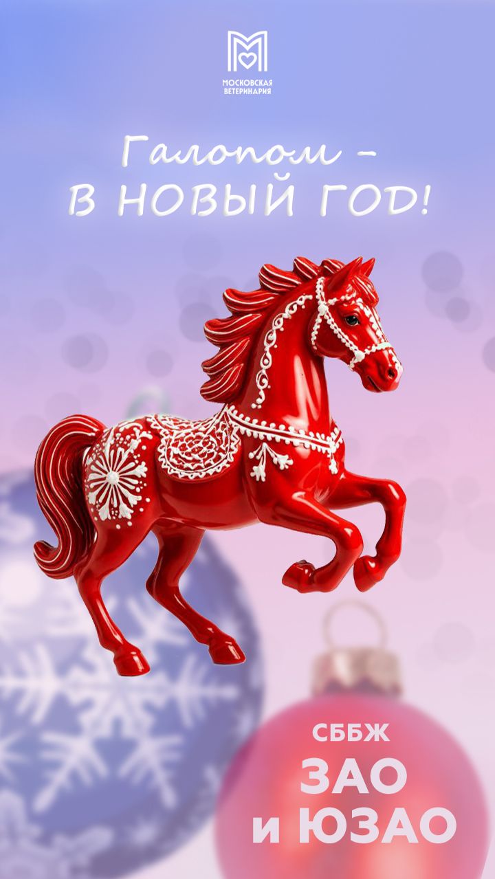 Галопом в Новый год! 🎄 СББЖ ЗАО и ЮЗАО