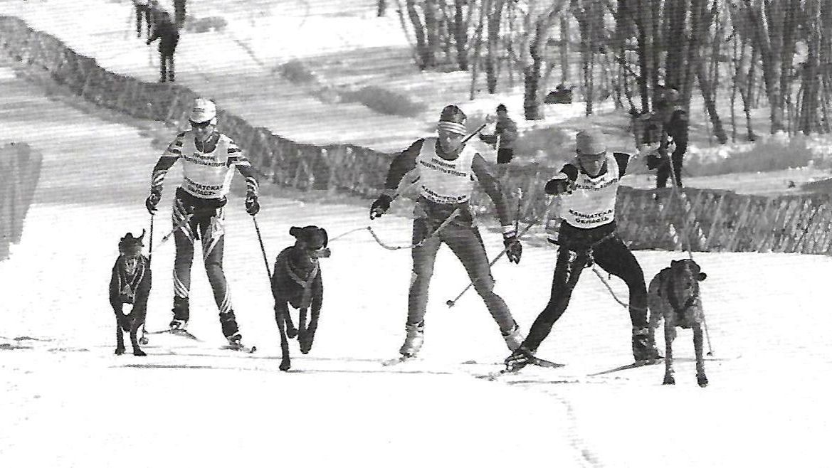 2006 год. Этап Кубка Мира по ски-джорингу. Часть вторая. Эстафета.