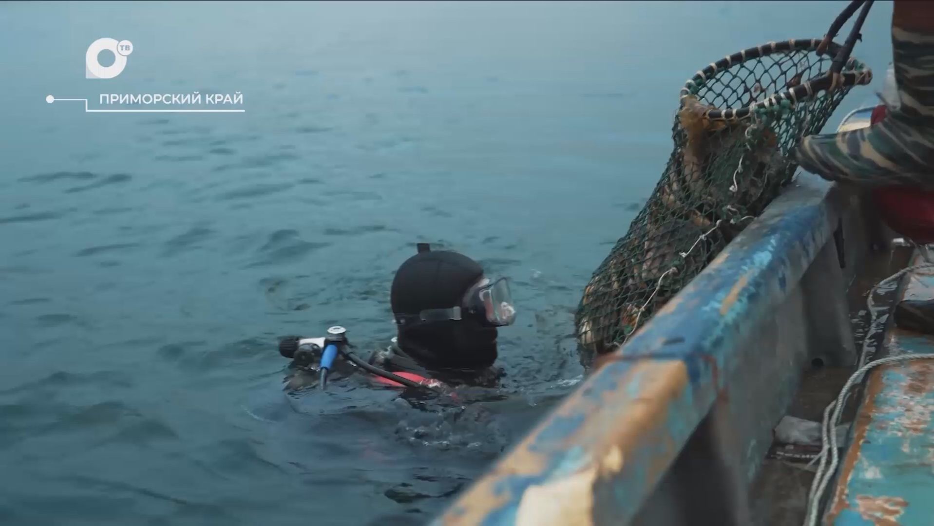 Разведка блогом / Добыча гребешка / 23.12.25