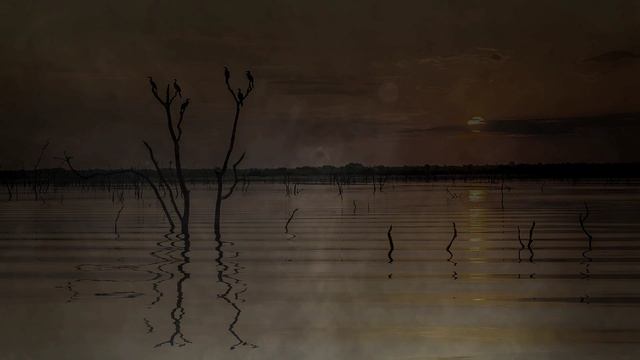 01 - Laura Marling - What He Wrote (Anfermond Remix)