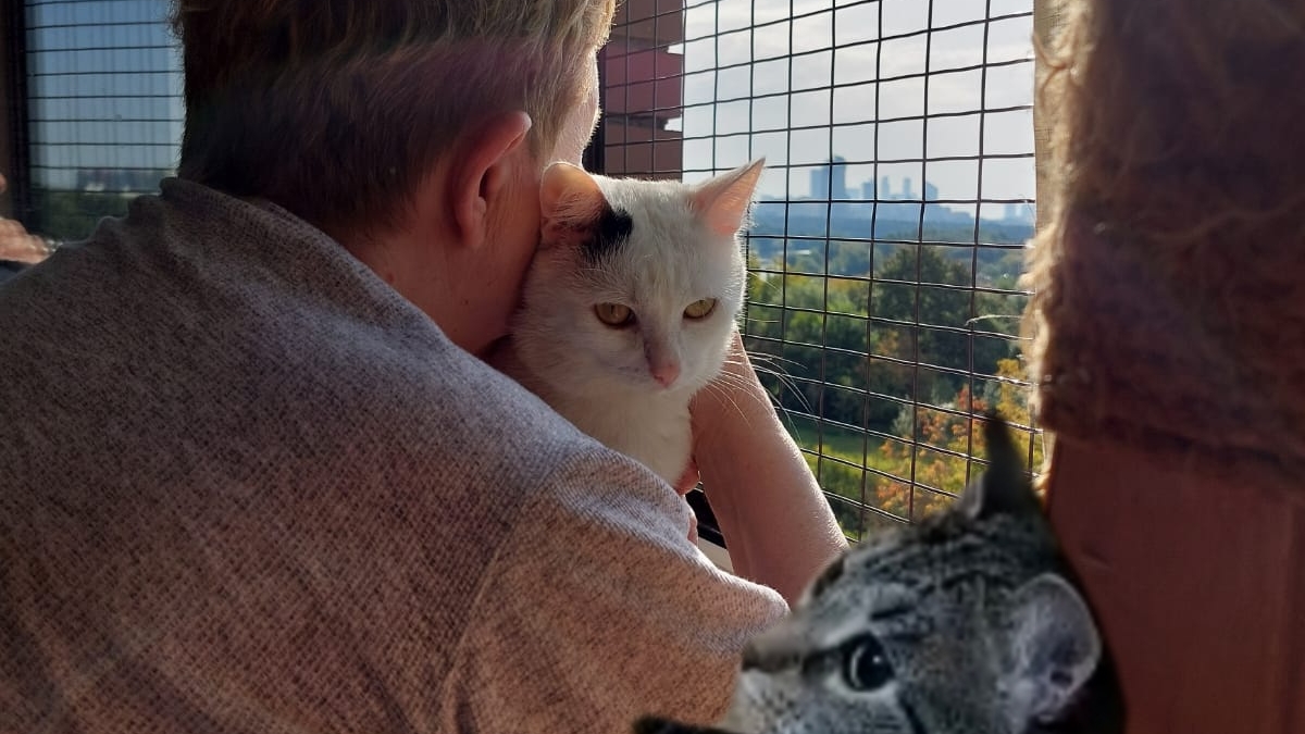 Мне 73 года. Замучили на работе