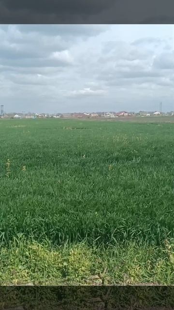 Классная песня