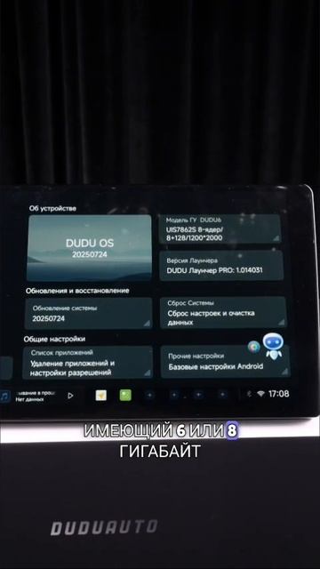 Hyundai Solaris 1 серая + Dudu 6