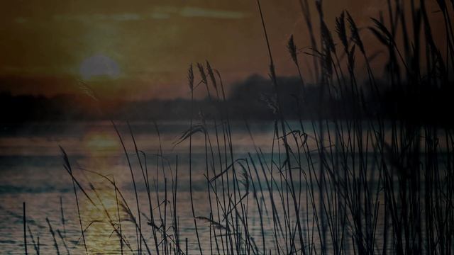 07 - Melancholy (Reality)