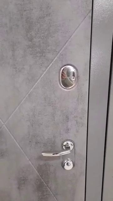 Входные двери Лабиринт Лофт. Видеообзор от Farniture.ru