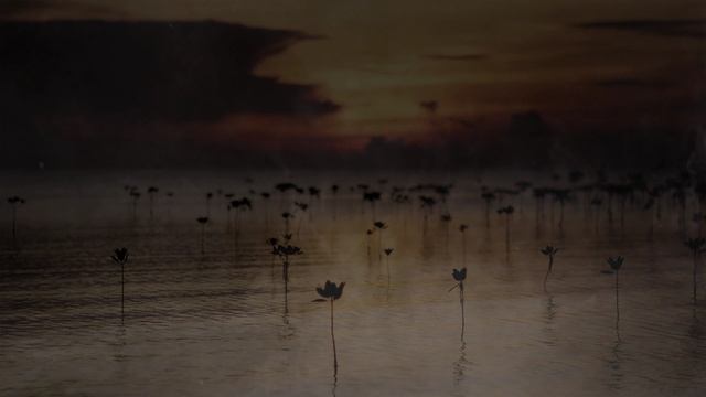 09 - Value (Deluxe Version)