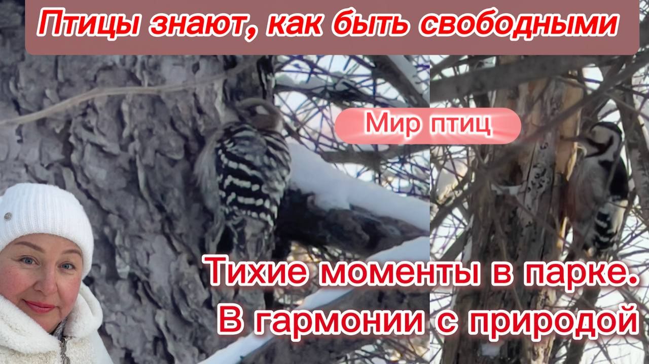 Утро 1 января/завтрак/зимняя сказка/мне поют птицы/еще один лучший день/мороз и солнце день чудесный