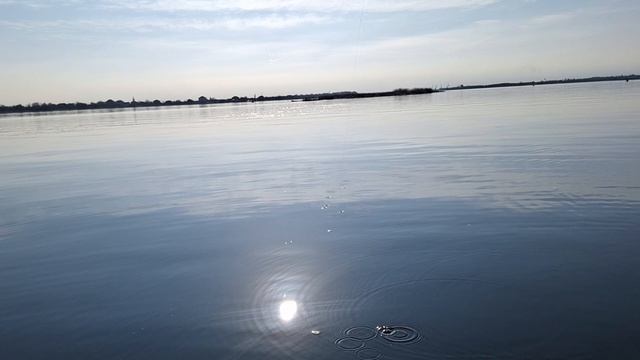 Реальная рыбалка в Астрахани на Волге в январе 25г.!Щука радует!Как спасти приманку во время зацепа!