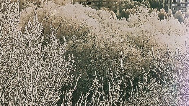 Sunchopuncher - Winter lo-fi hip-hop (EP)