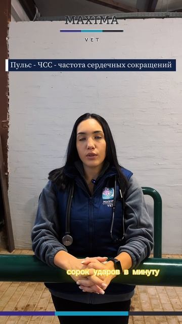 Анастасия ПРОКОПОВА предлагает УЗИ сердца  В ПОДАРОК при предоперационном обследовании за 20 т. руб.