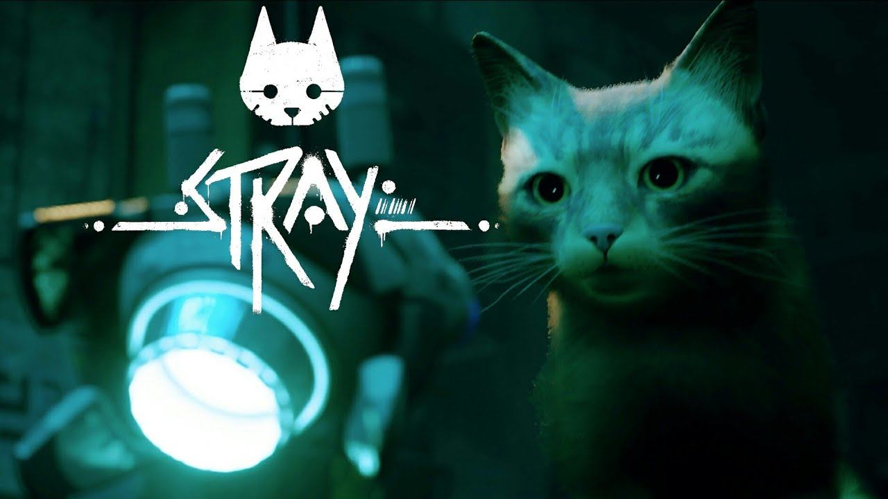 ПЕРВЫЕ ДРУЗЬЯ • Stray #1