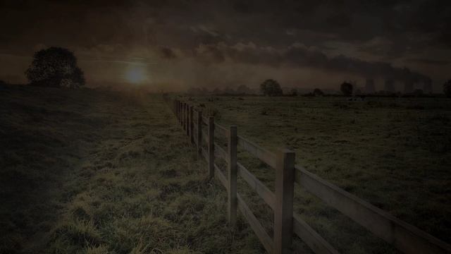 05 - On the Trail of an Ant (Remix)