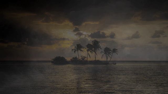 14 - Flow of Thought (Deluxe Version)