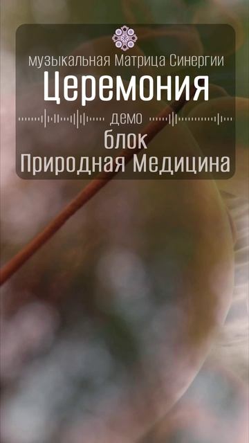 Микс Церемония (фрагмент). Альбом планетарная медицина растений. Музыкотерапия Синергия