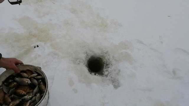 Зарыбливаем зимой второй водоём