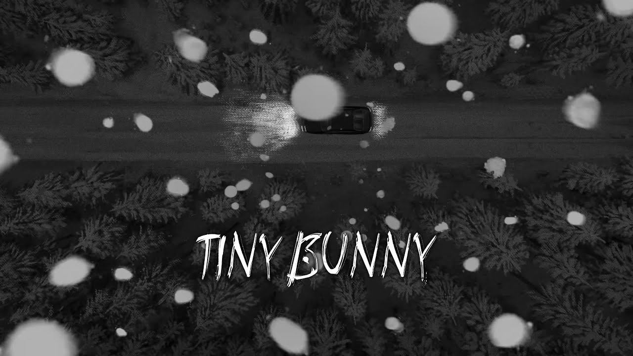 ЖЁСТКО НАКРЫЛО • Tiny Bunny (Ранний доступ) #6