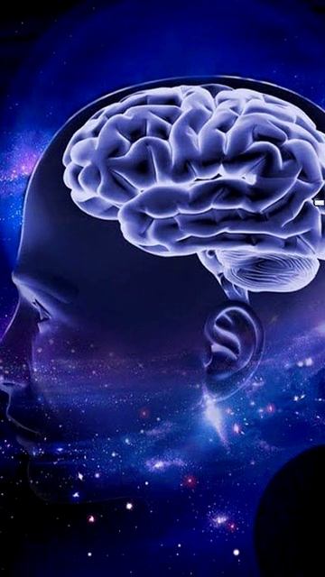 ФАКТЫ ОБ ...  2125 #shorts