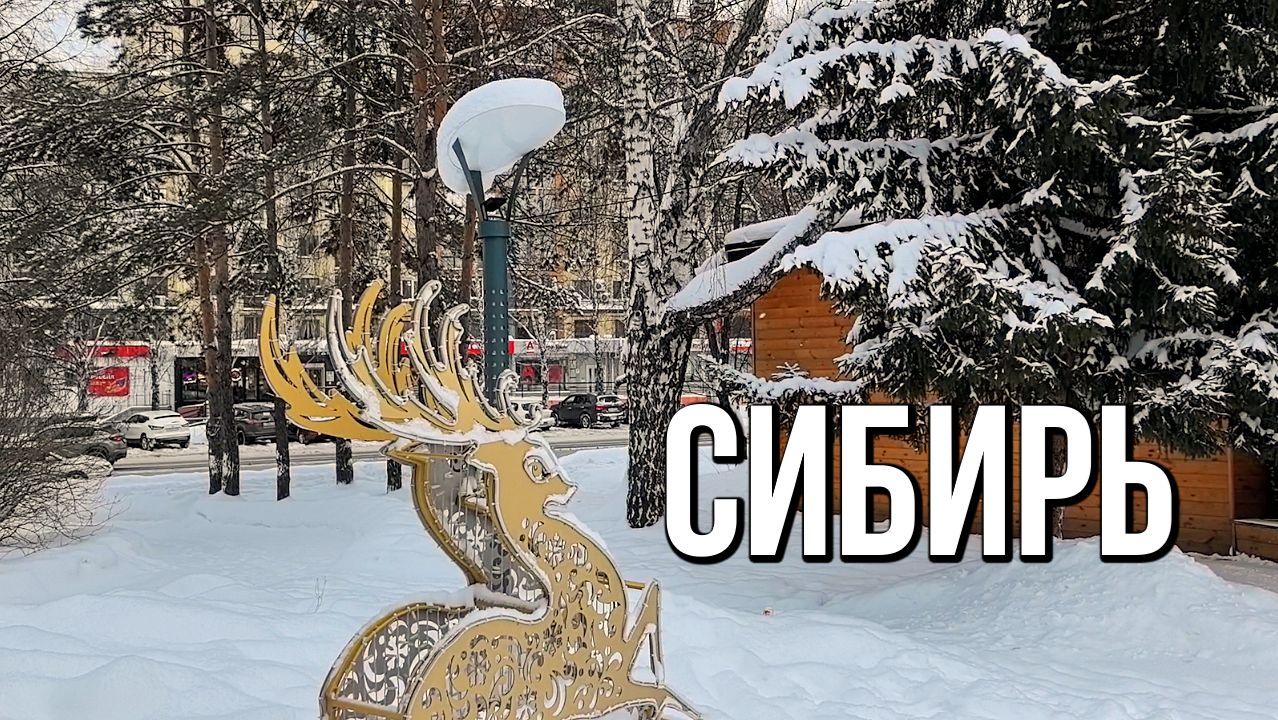 Город в ожидании чуда: декабрьские зарисовки