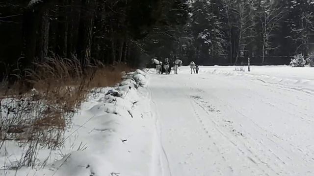 ЭХ, мчится  УДАЛАЯ тройка!