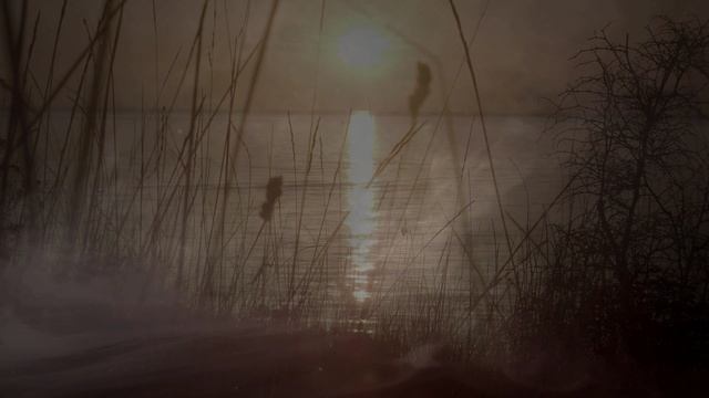 12 - Ane Brun - Temporary Dive (Anfermond Remix)