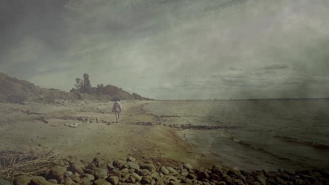 16 - On the Trail of an Ant