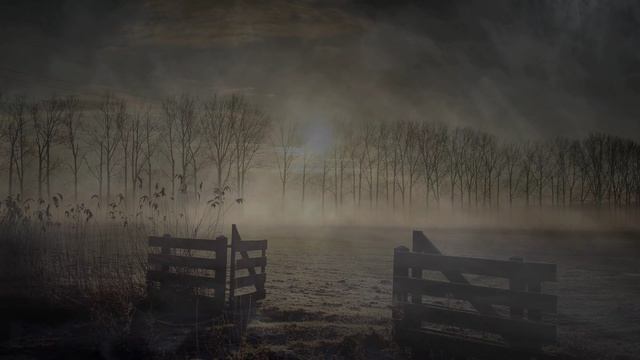 15 - On the Warrior's Trail (Deluxe Version)