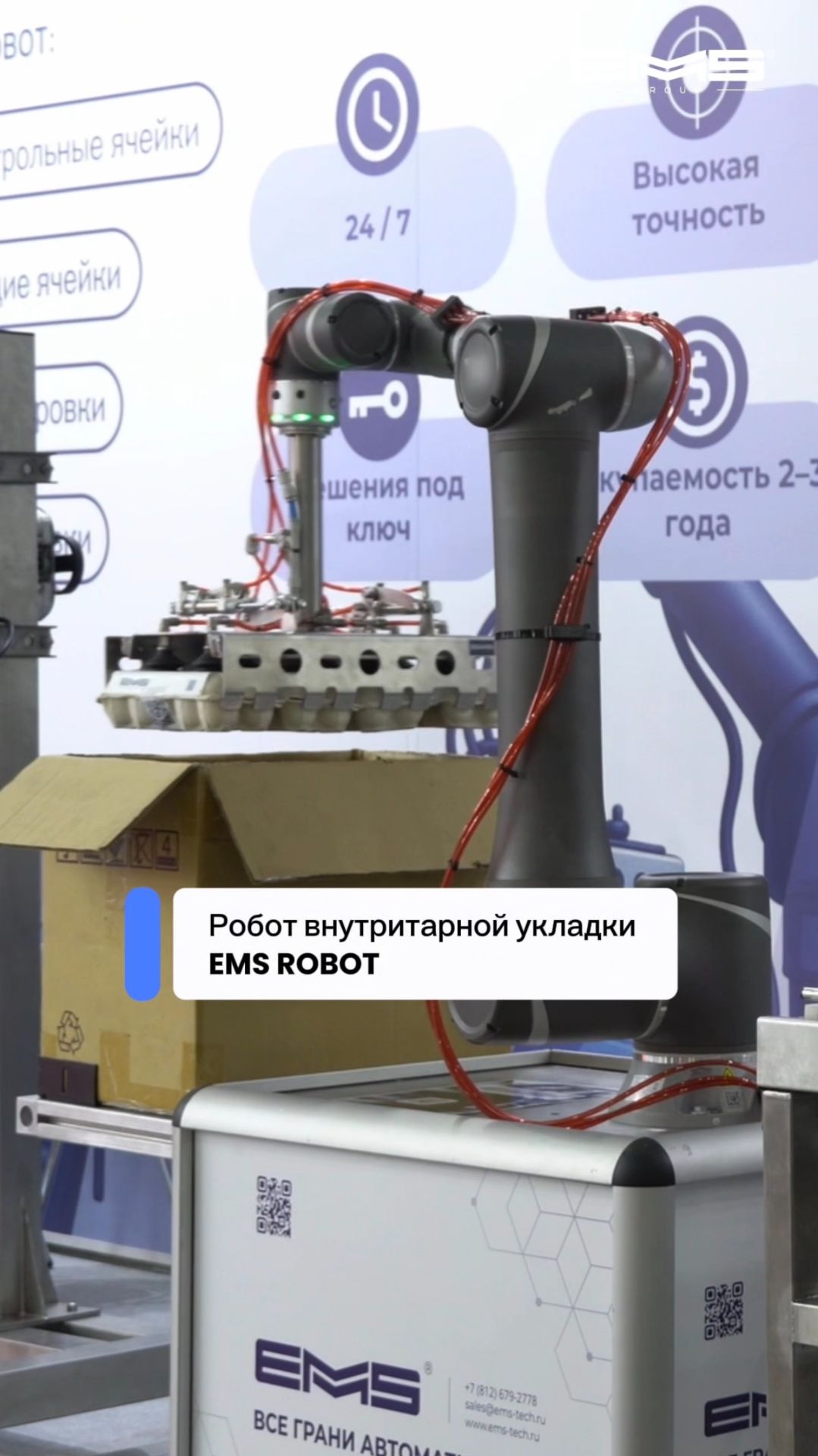 ⚙️ Точное и аккуратное размещение товара в тару осуществляет робот внутритарной укладки EMS Robot