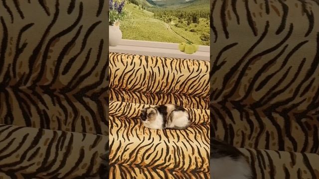 Рассказ - "Чудеса случаются"