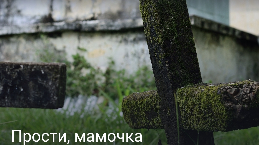 Прости, мамочка часть первая конец