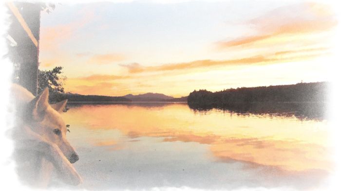 Новый день Олег Юргаев и ИИ