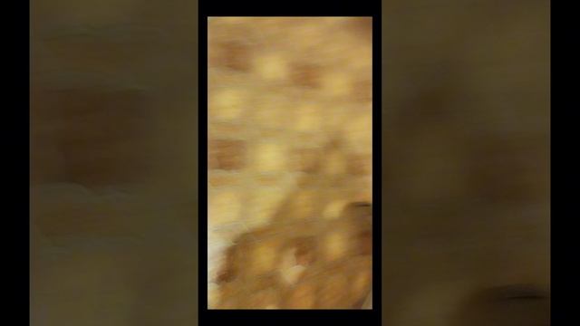 мы бегали 27 мин без остановки это самое смешное видео