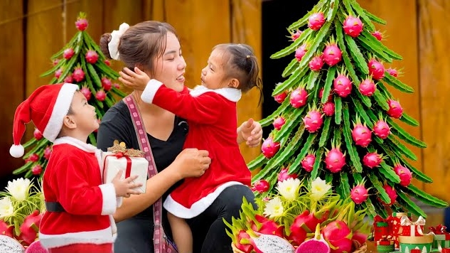 Собираю урожай питахайи для продажи на рынке. Теплые рождественские приготовления с моим сыном