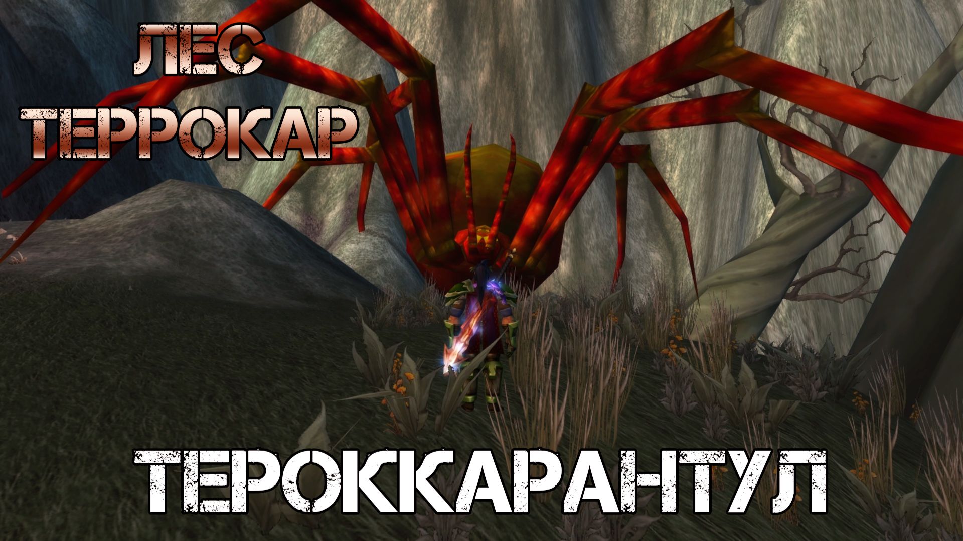 ТЕРОККАРАНТУЛ ЛЕС ТЕРРОКАР WoW Sirus - Neverest x3 #37 ХК