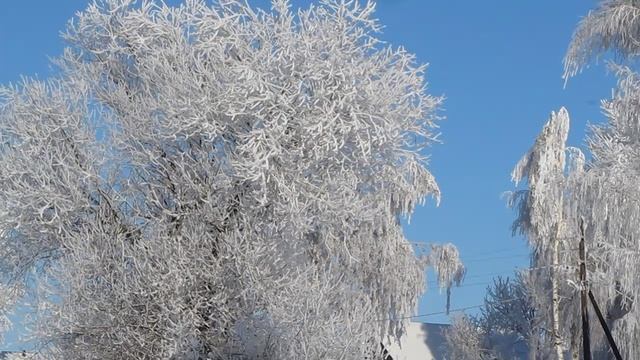 Деревенский пейзаж