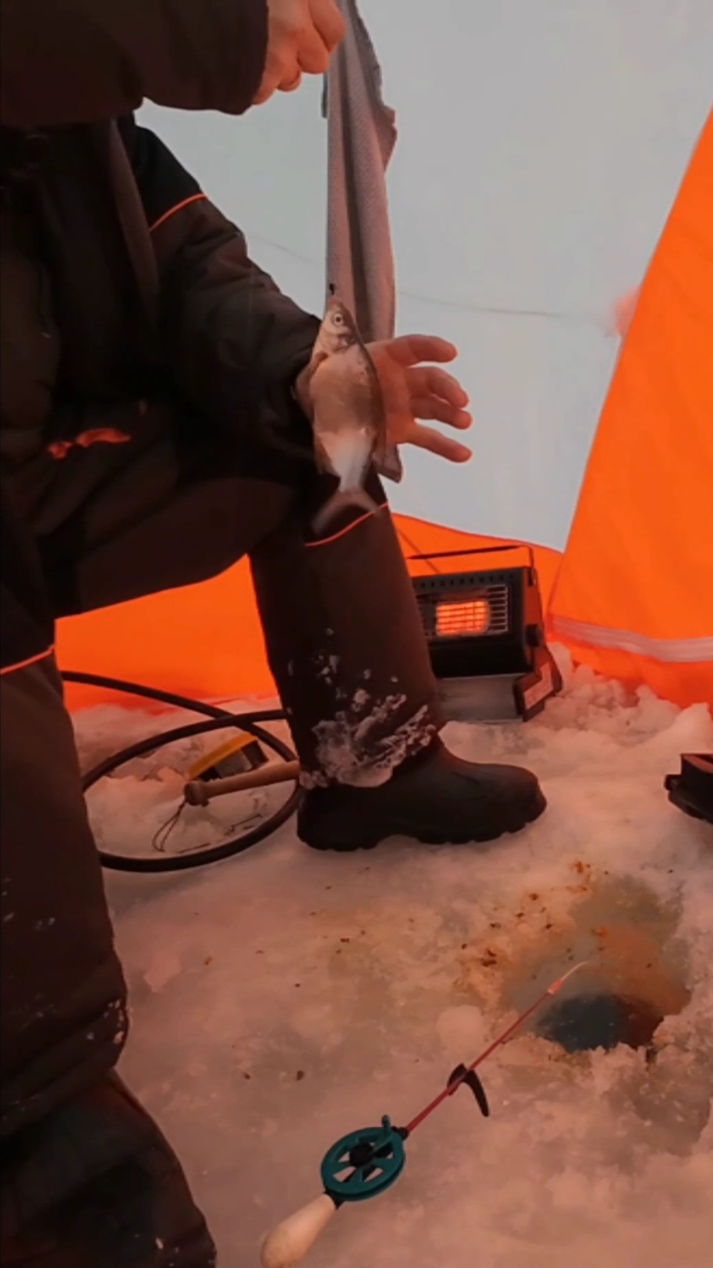 Болен рыбалкой. 25-12-2025