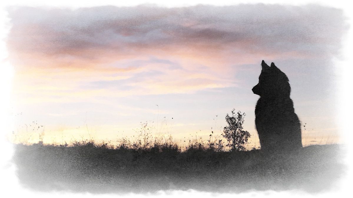 Без мятежные границы  Олег Юргаев и ИИ