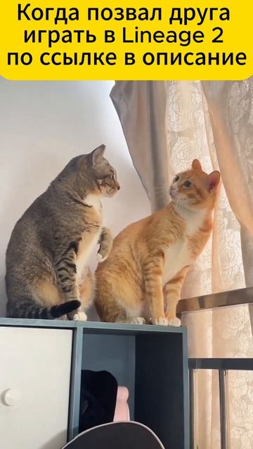 Когда позвал друга поиграть в Lineage 2 по ссылке в описание #l2 #lineage2 #games #shorts #short