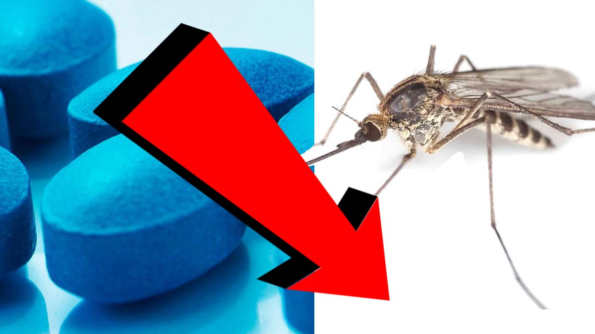 Как избавиться от комаров За 3 Секунды..!...!...!.