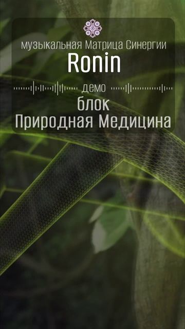 Микс Ronin (фрагмент). Альбом планетарная медицина растений. Музыкотерапия Синергия