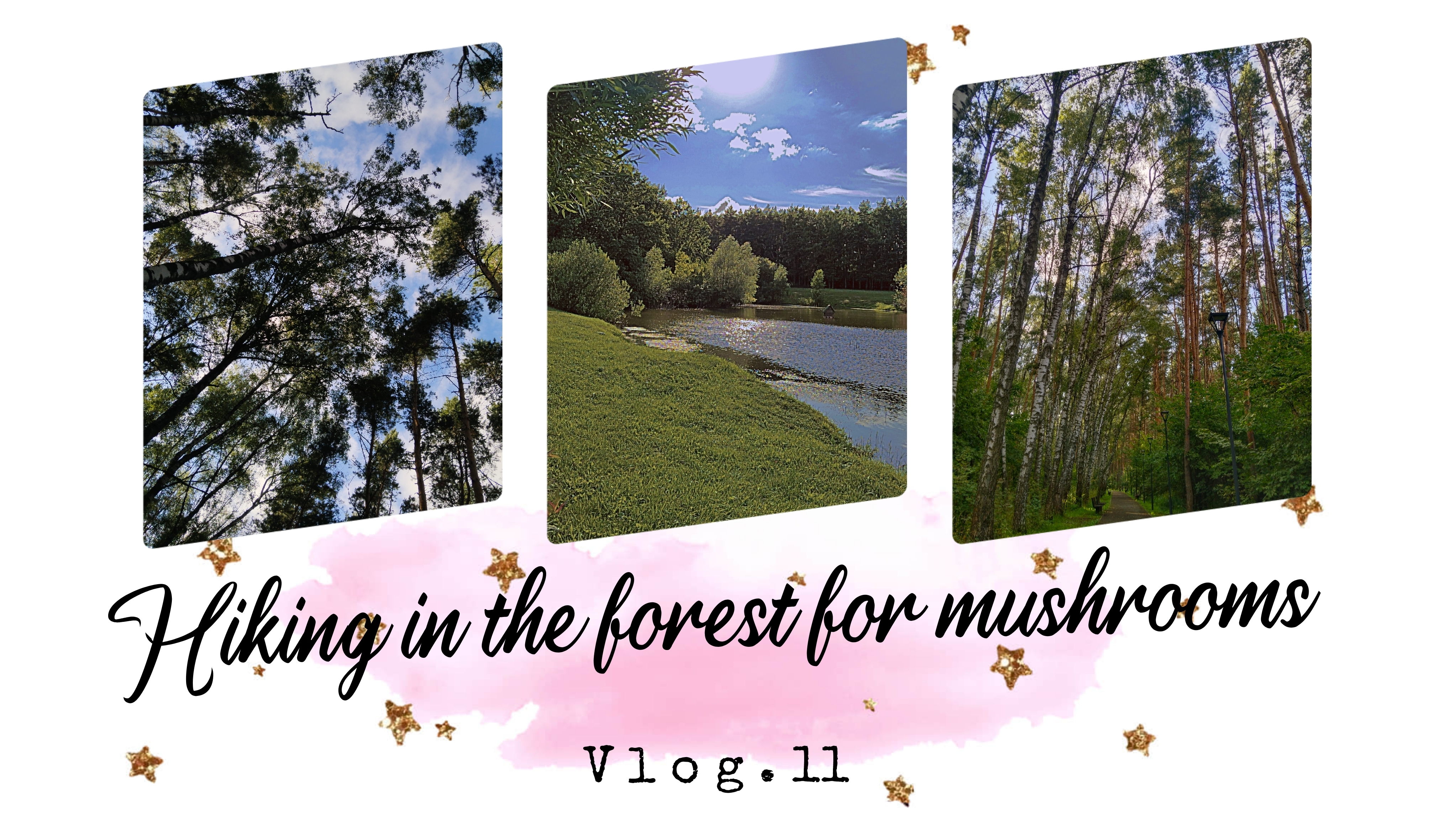 ✨ Пошли в лес за грибами ✨