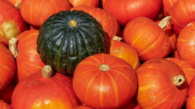 8 2025.12.20 Обсуждение. Семинар Святилище. Тема 4. Внутреннее Пребывание Святого Духа