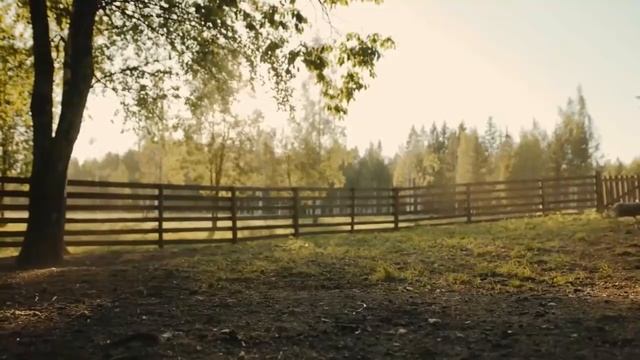 Mary_Had_A_Little_Lamb_Песня_на_английском_языке