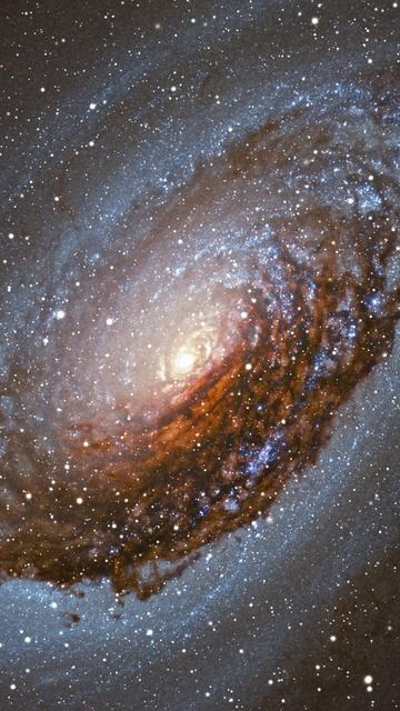 Глубокий Космос 2025 X